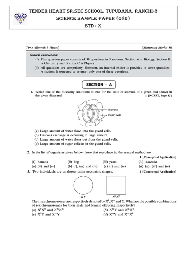Class 10 Science DP HHW | PDF