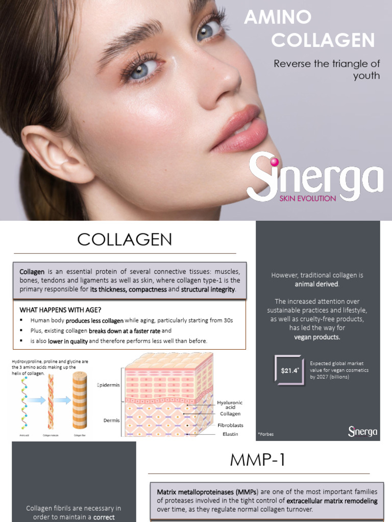 Amino Collagen Brochure | PDF | Collagen | Extracellular Matrix
