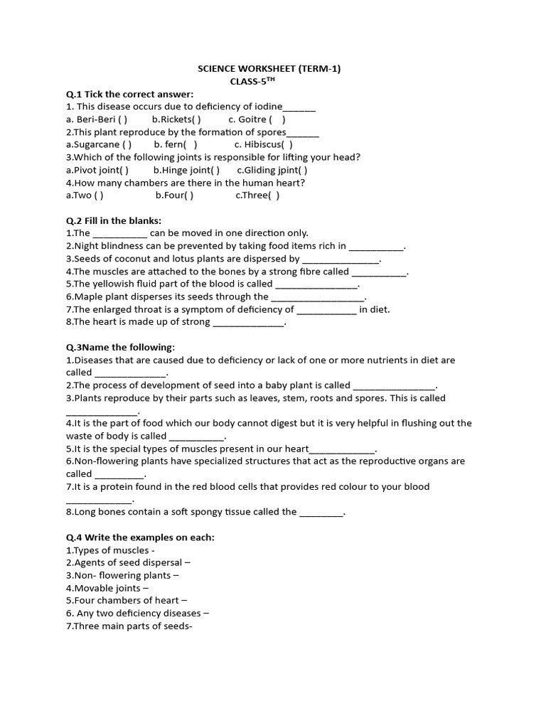 Class 5 Science Worksheet Term 1 | PDF | Seed | Plants