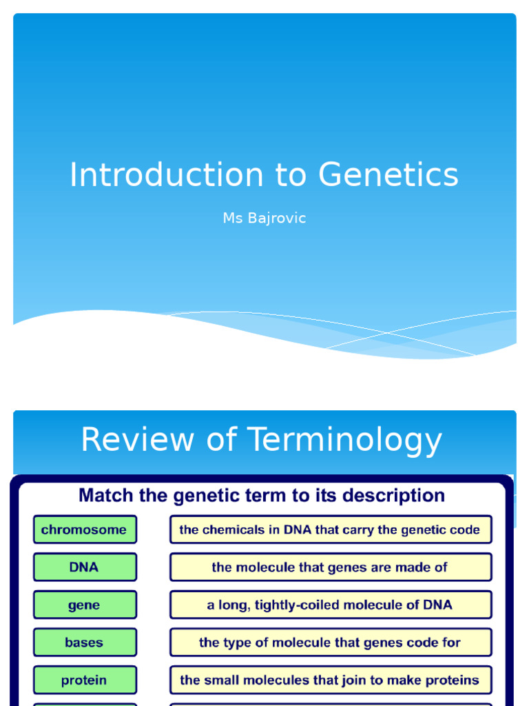 Introduction To Genetics | PDF | Dominance (Genetics) | Allele