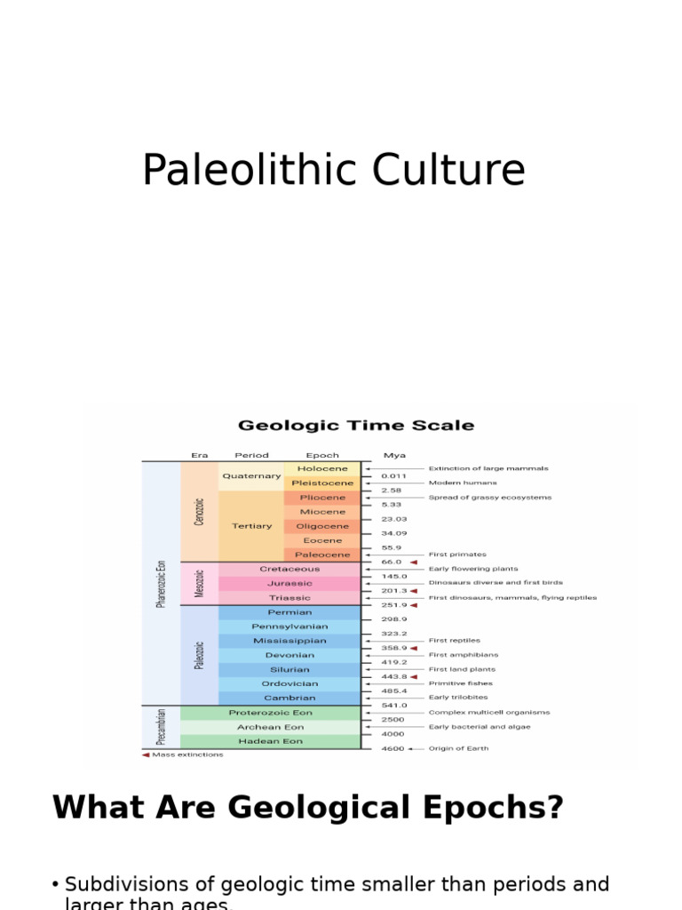 Paleolithic Culture | PDF | Stone Age | Paleolithic