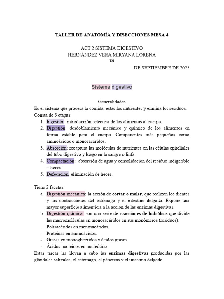 Act2-Sistema Digestivo Taller | PDF | Digestión | Bilis