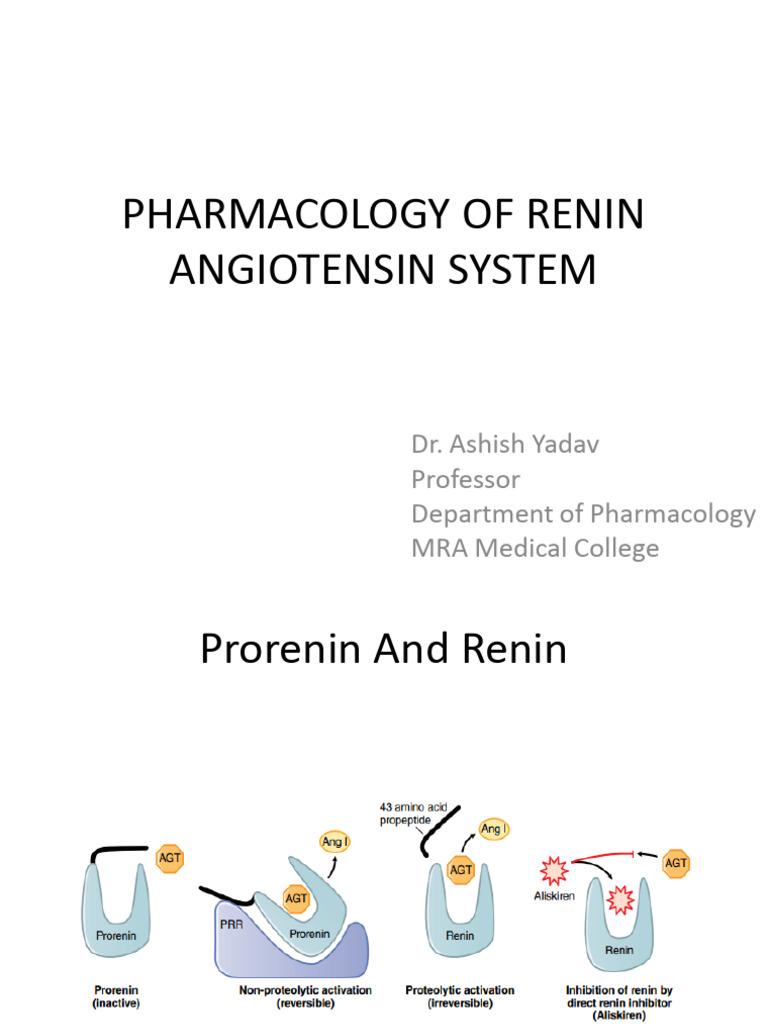 Pharmacology of Renin Angiotensin System | PDF | Drugs | Hypertension