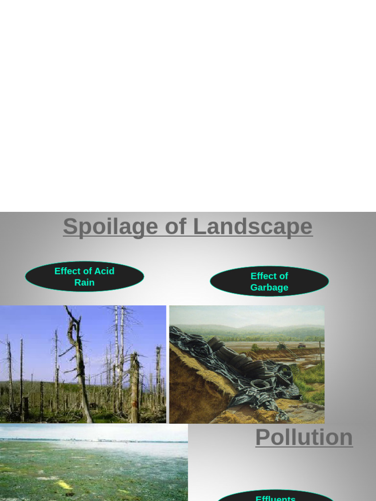 Impact of Waste Accumulation 2 1 | PDF
