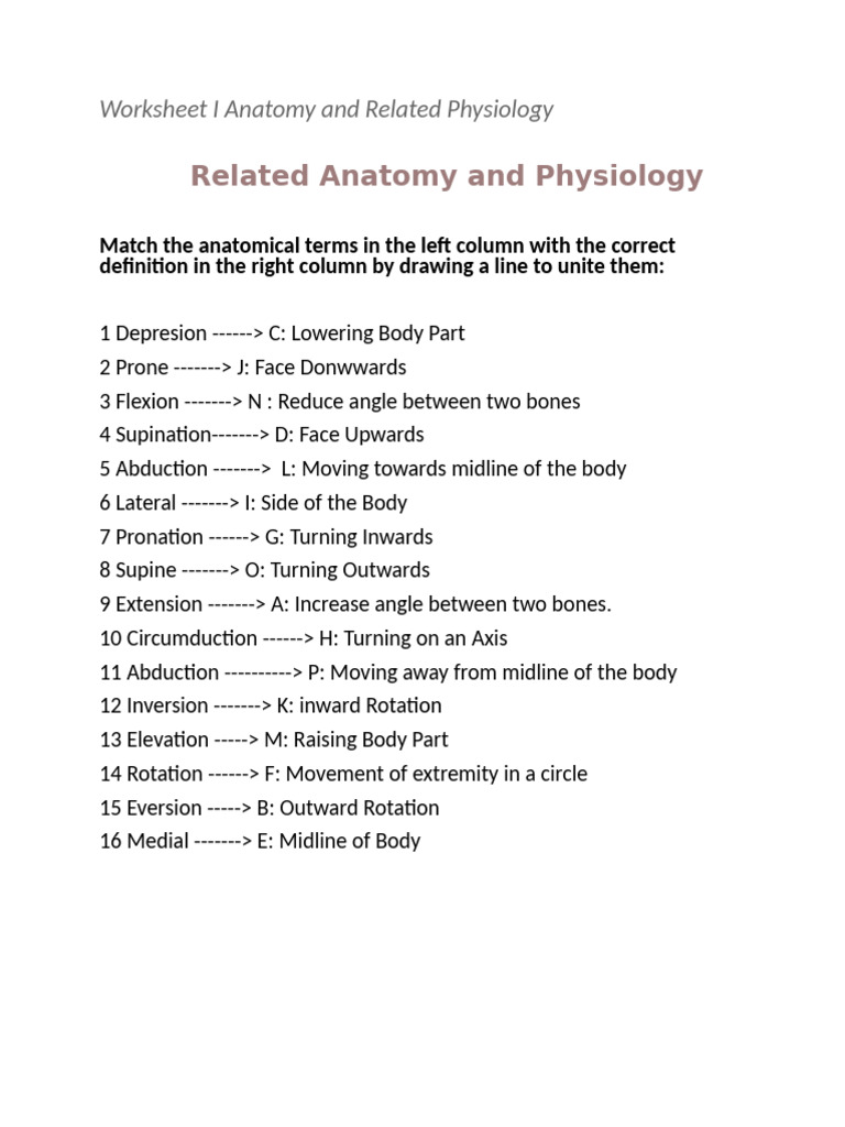 Anatomy and Physiology Matching Worksheet | PDF