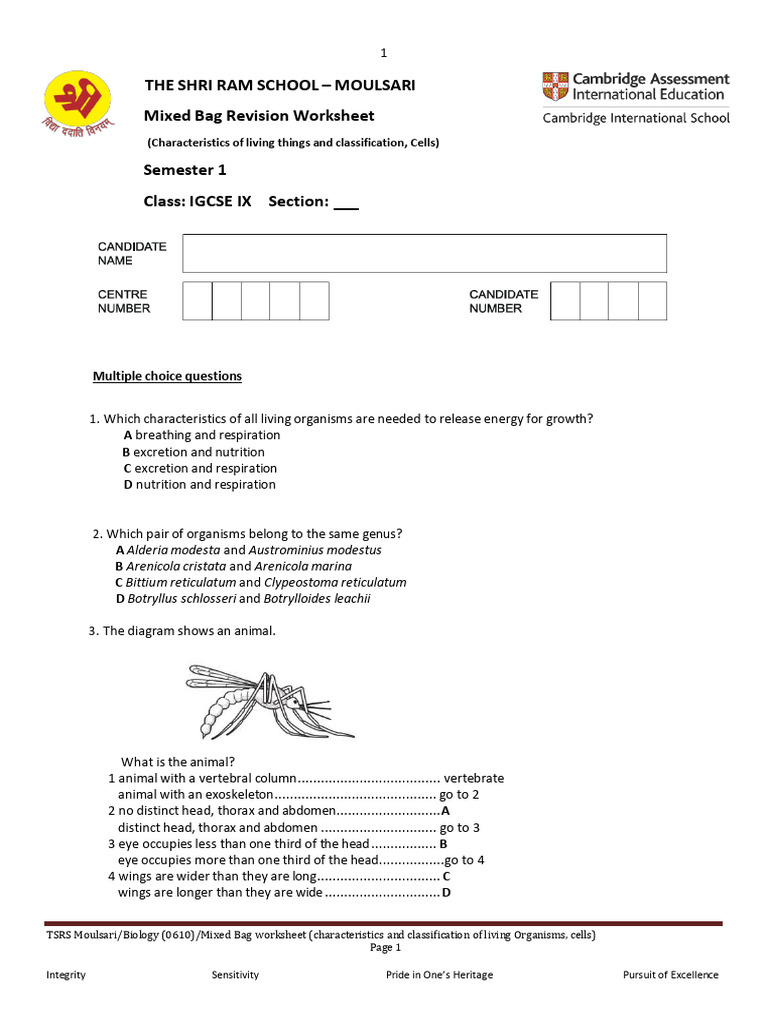 The Shri Ram School Moulsari Mixed Bag Revision Worksheet ...