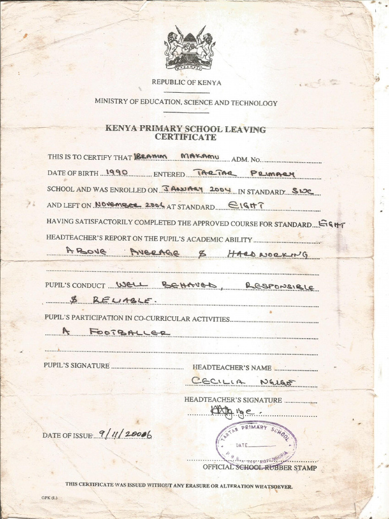 Primary School Leaving Cert | PDF