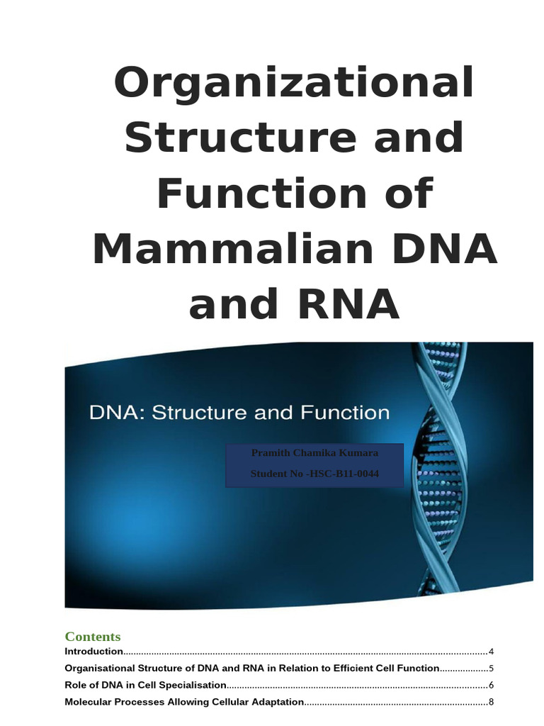 Formative Task 2 Organizational Structure and Function | PDF | Dna ...