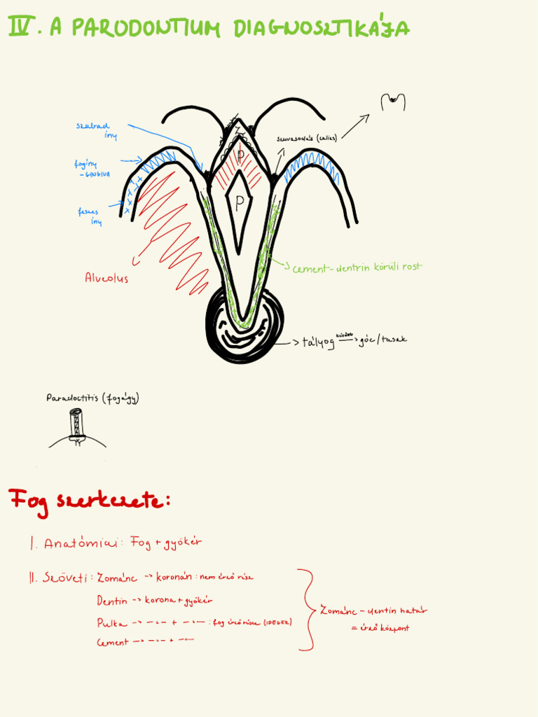 A Parodontium Diagnosztizálása | PDF