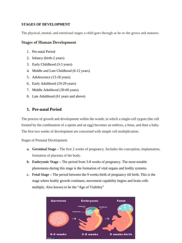 Stages of Development (Human Psychology) | PDF | Prenatal Development ...