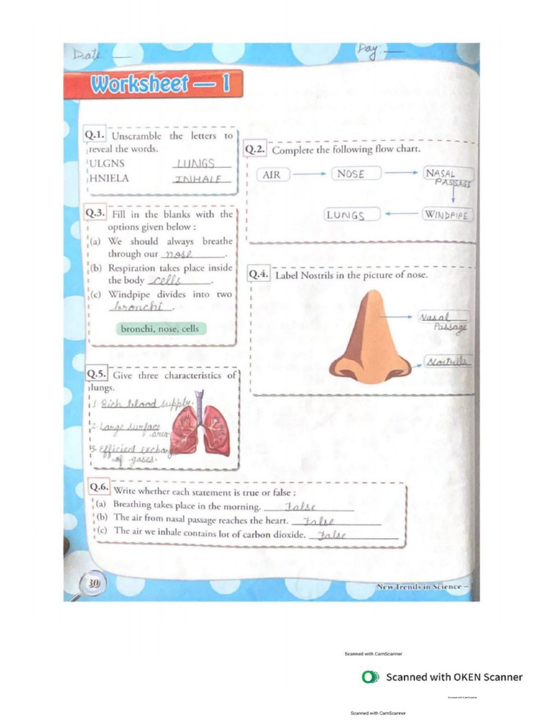 Ch-3 To 6 Science Class - III | PDF