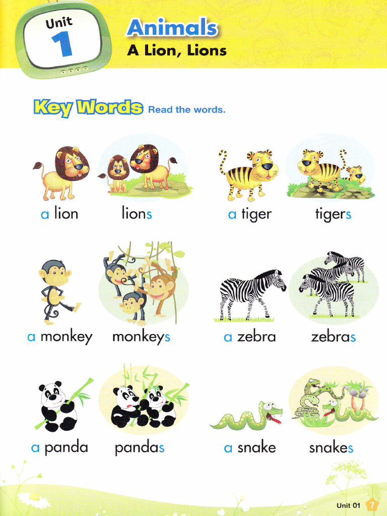 American Textbook Reading Pre-School 3 | PDF