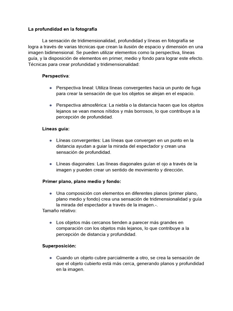 La Profundidad en La Fotografía | PDF | Perspectiva (Gráfica) | Visión