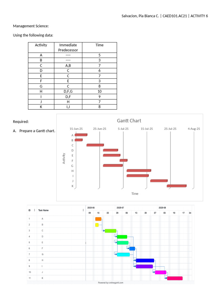 Gantt Chart and Activity Schedule Guide | PDF | Project Management ...