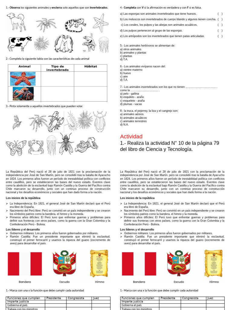 Invertebrados: Corales, Pulpos y Abejas | PDF | Perú | Invertebrado