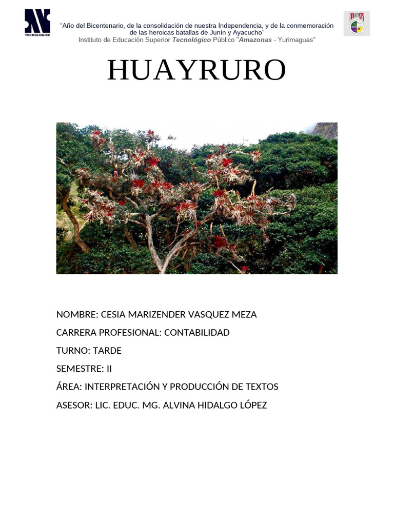 HUAYRURO | PDF