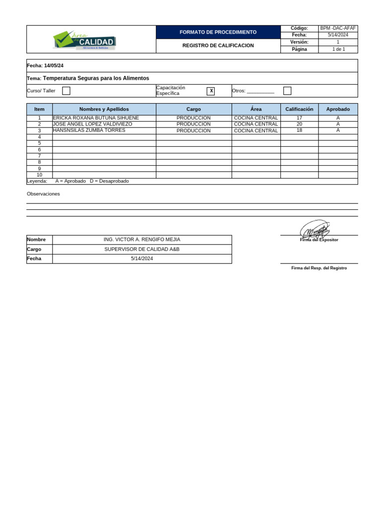 Calificacion Capa Calidad | PDF