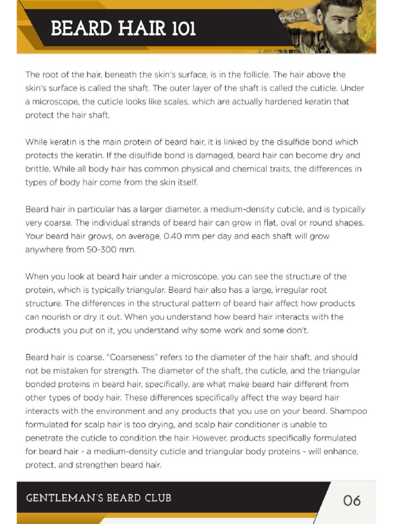 Beard Hair1 | PDF