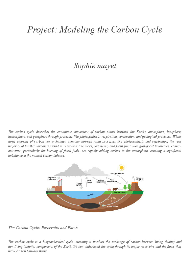 SM Project - Modeling The Carbon Cycle | PDF | Carbon Cycle | Earth ...
