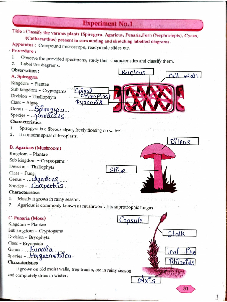 9th STD Science 2 Practical Journal Answer Key | PDF
