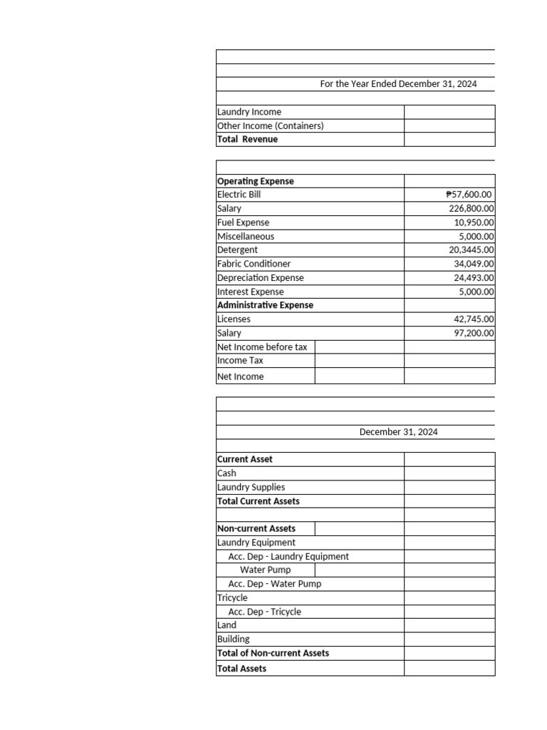 MAGPA Laundry Shop Financial Overview | PDF | Expense | Income