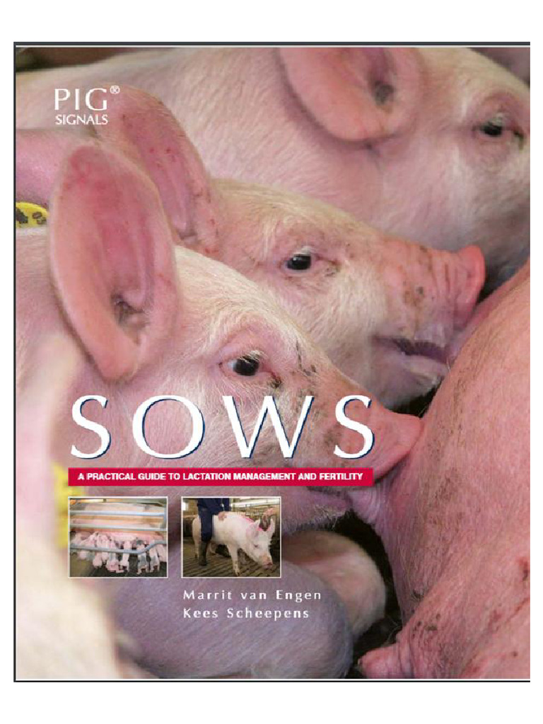 Sows | PDF