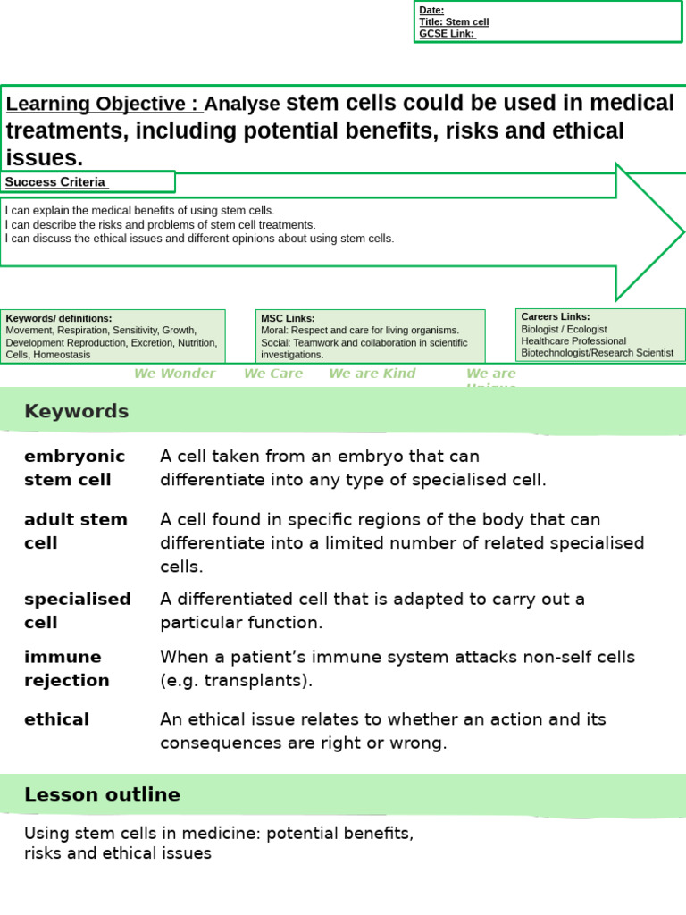 Stem Cell and Ethical Issue | PDF | Stem Cell | Embryonic Stem Cell