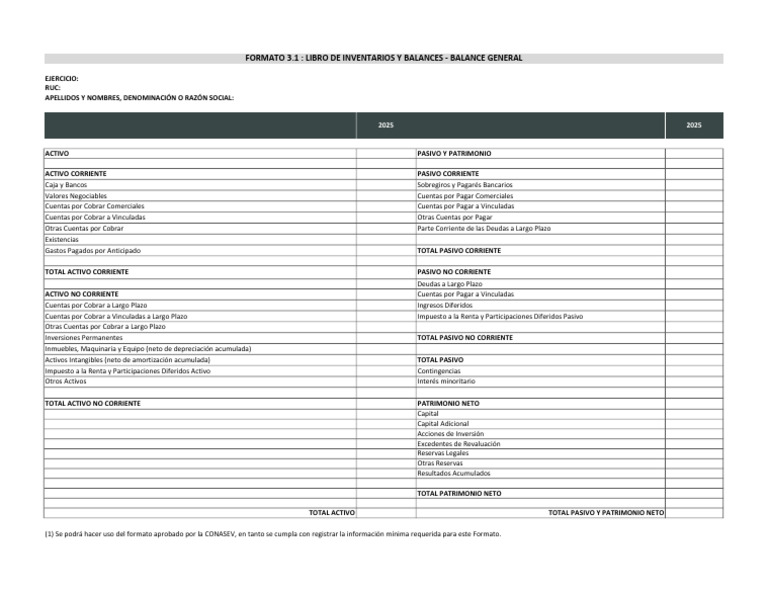 Formato 3.1: Libro de Inventarios Y Balances - Balance General | PDF ...