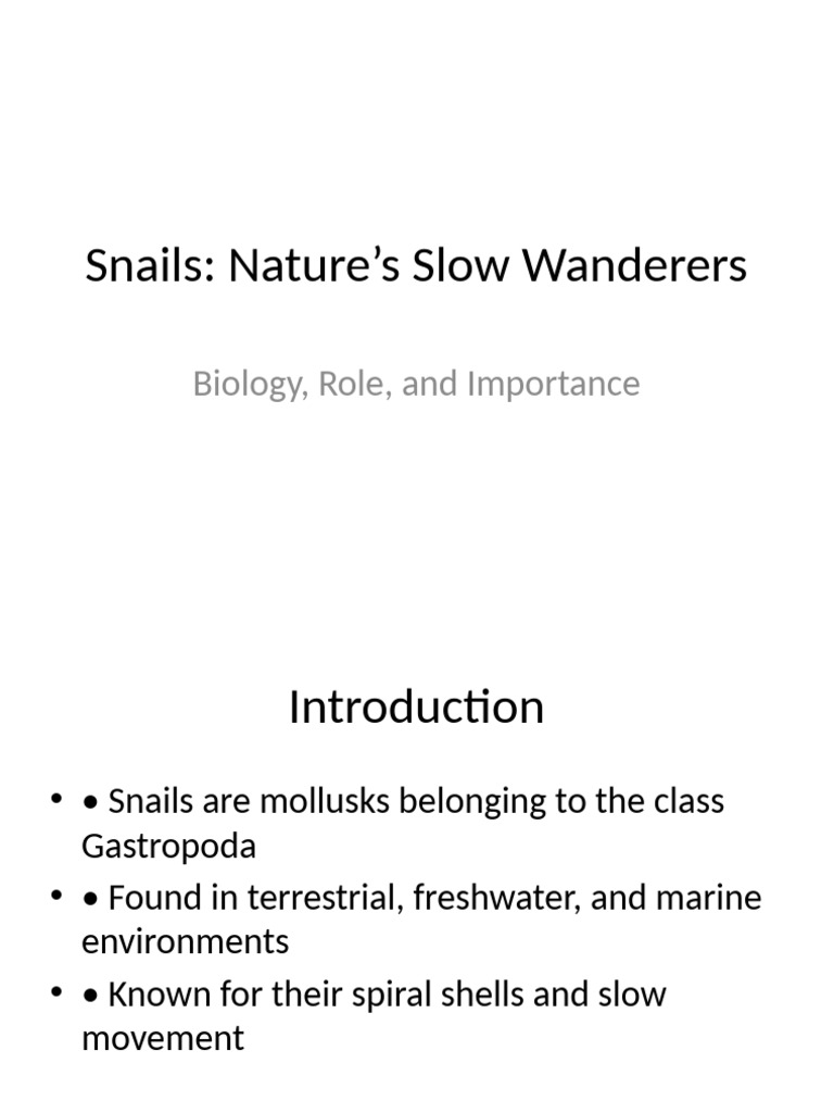 Life of Snails | PDF