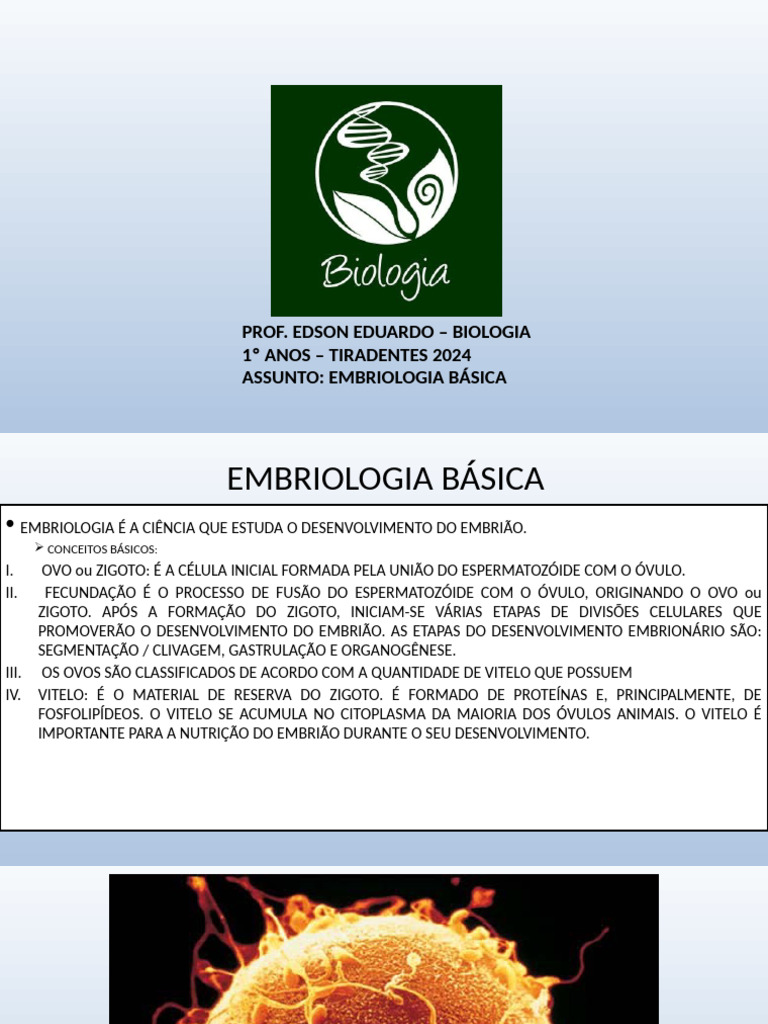 Embriologia Básica: Desenvolvimento do Embrião | PDF | Ovo | Embrião
