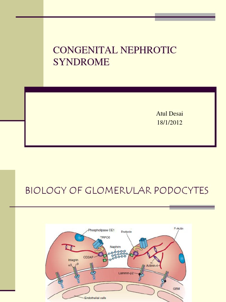 Congenital Nephrotic Syndrome | Congenital Disorder | Kidney