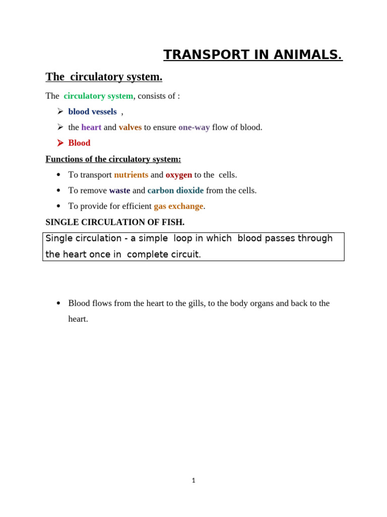 Transport in Mammals Notes | PDF | Circulatory System | Ventricle (Heart)