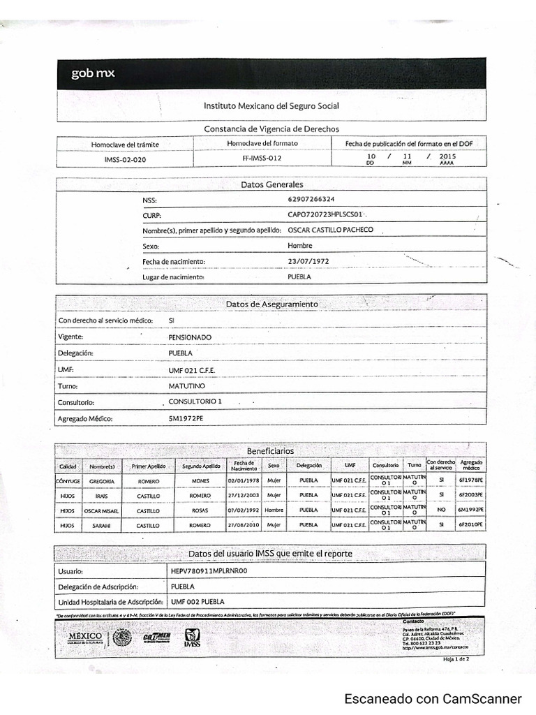 Documentos IMSS | PDF