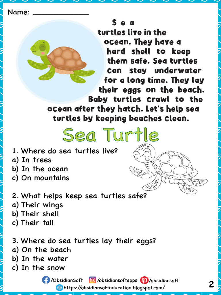Free Sea Animals Reading Comprehension For Kids | PDF | Sea Turtle | Turtle