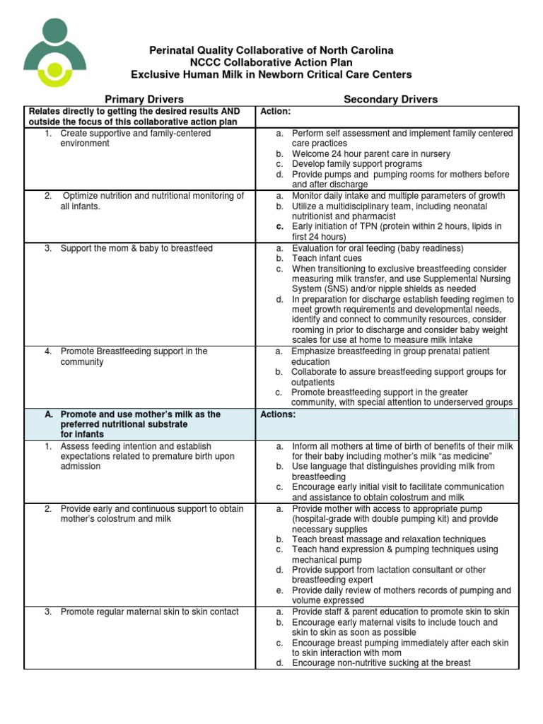 PQCNC HM NCCC Phase II Action Plan | PDF | Breastfeeding | Infants