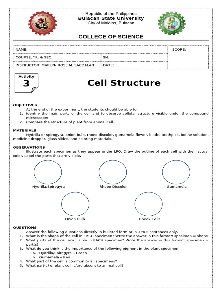LAB GB 2025 Cell Structure | PDF