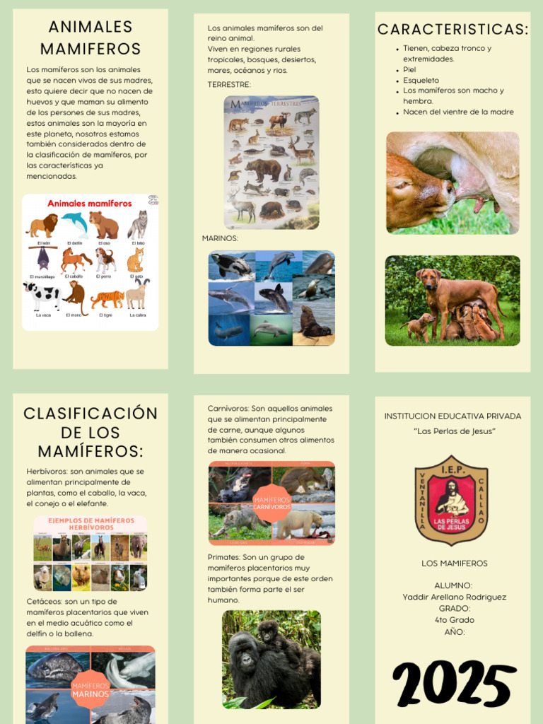 Los Mamiferos | PDF | Mamíferos | Zoología
