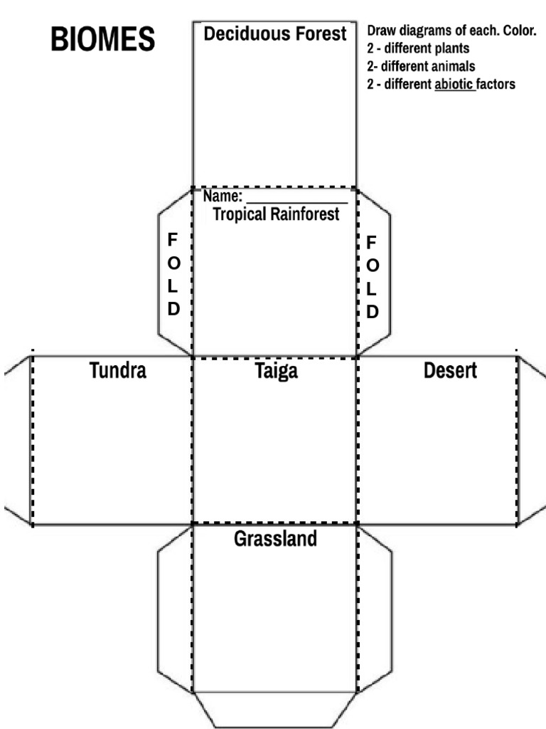 Biomes Cube | PDF