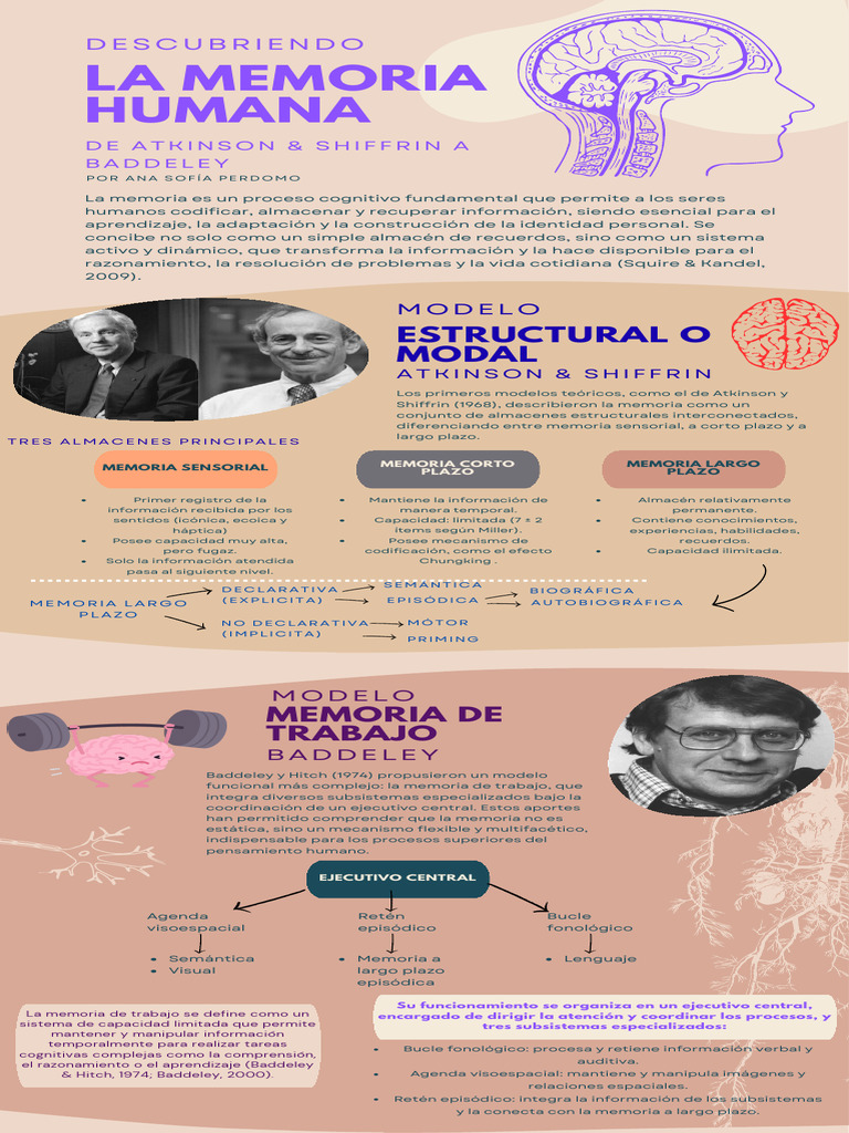 Infografía Memoria - Ana Sofía Perdomo | PDF | Memoria | Ciencias del ...