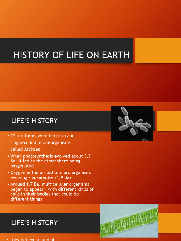 Evolutionary History of Earth Life | PDF | Nature | Earth Sciences