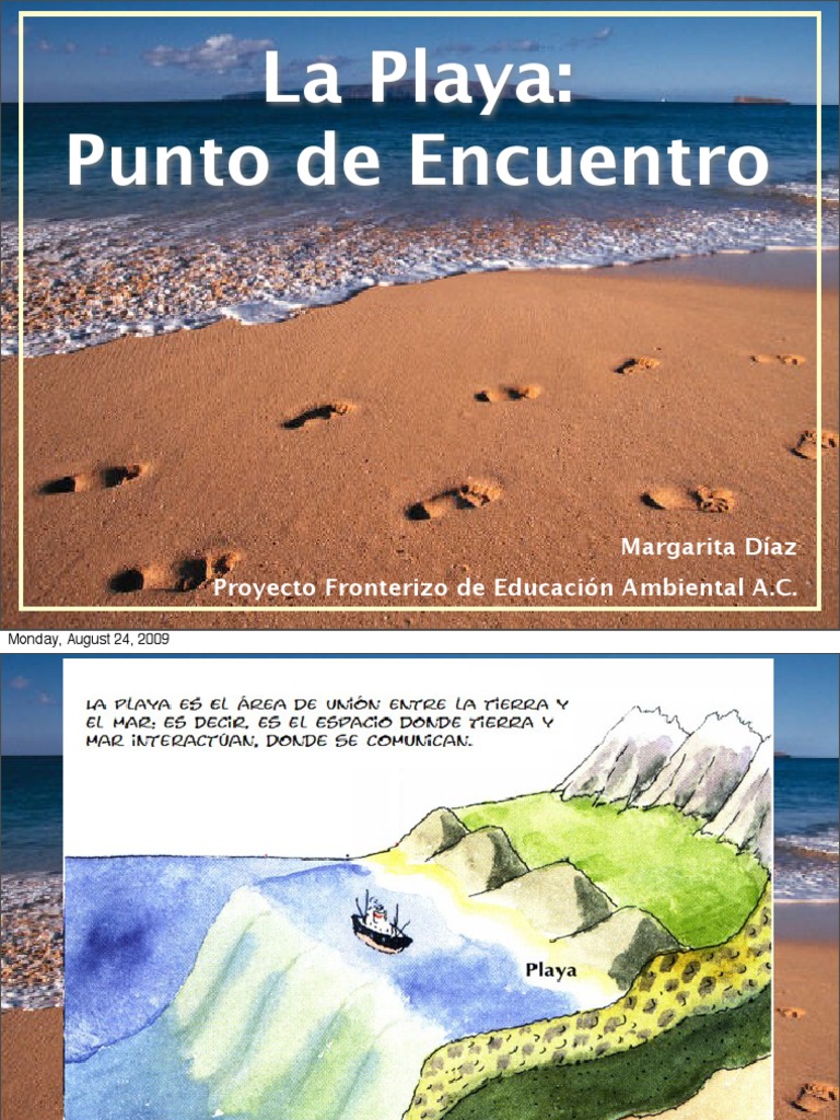 Encuentro en la Playa: Proyecto Ambiental | PDF | Science | Tecnología ...