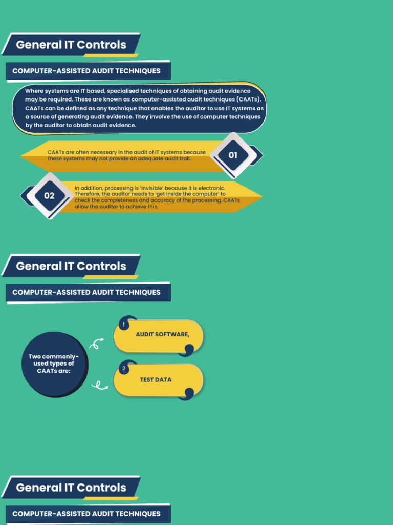 Understanding Computer-Assisted Audit Techniques | PDF | Audit | Accounting