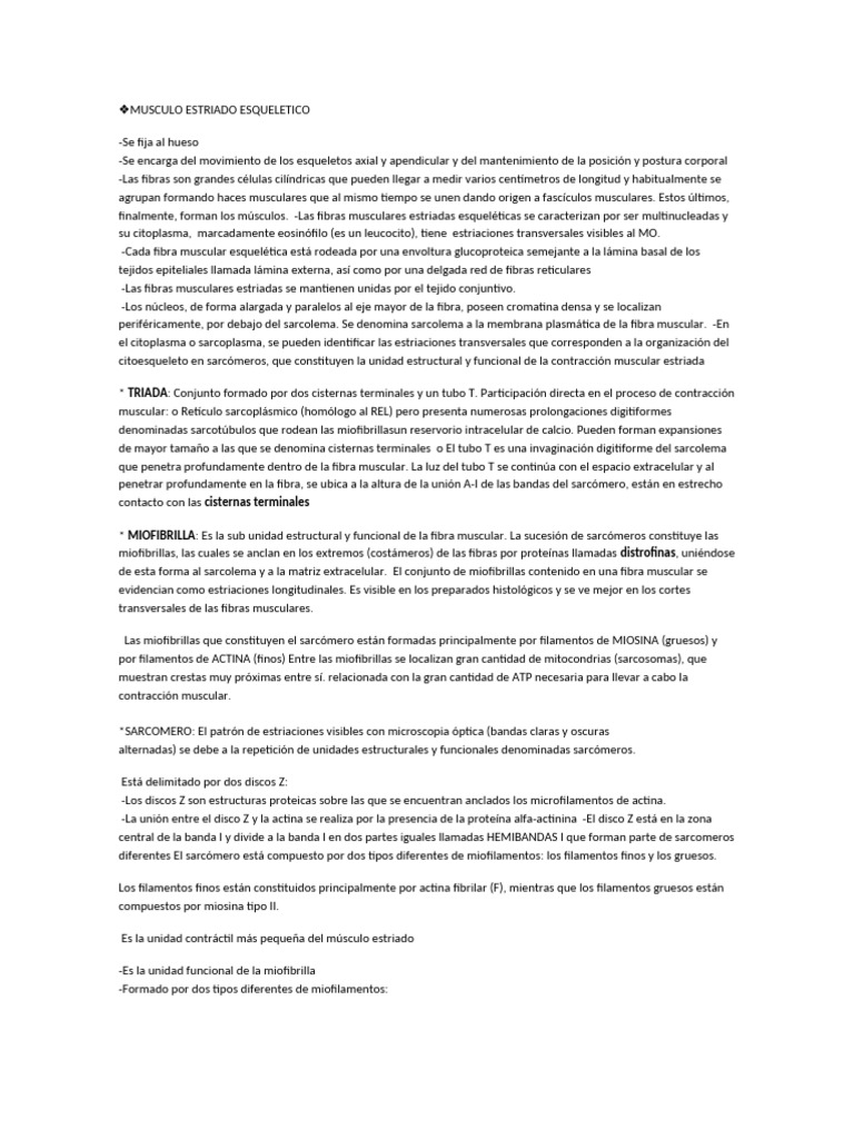 Musculo Estriado Esqueletico | PDF | Músculo | Actina