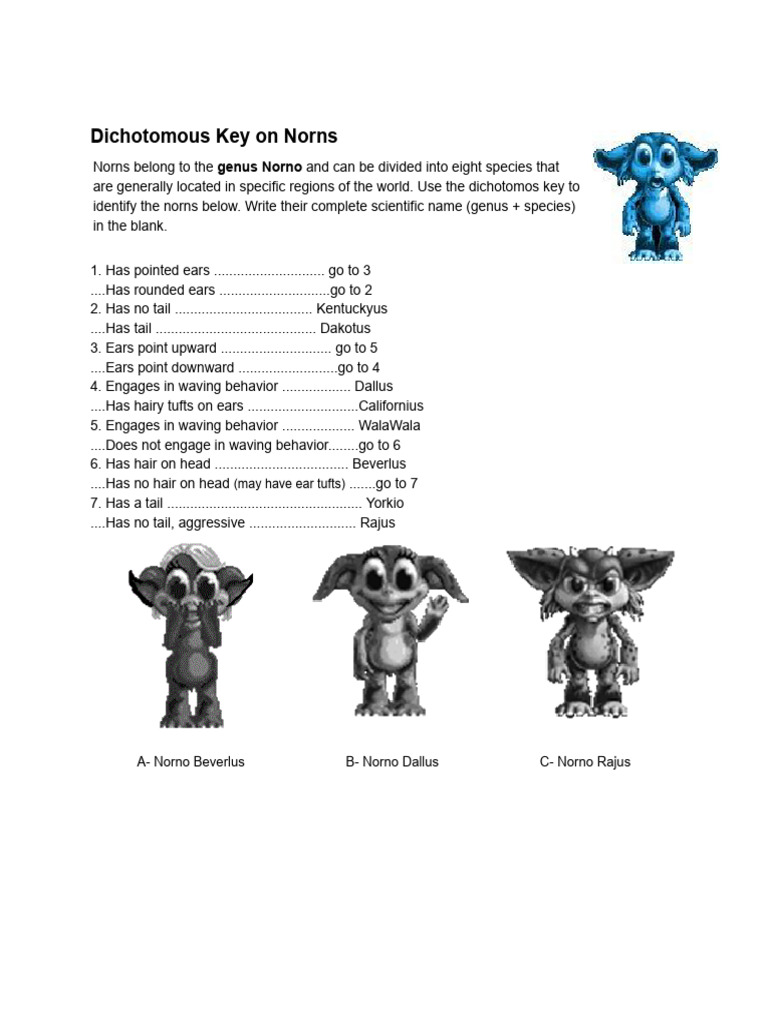 Dichotomous Key Practice | PDF | Smile | Chess Theory