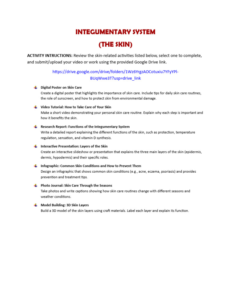 Integumentary System Activity | PDF