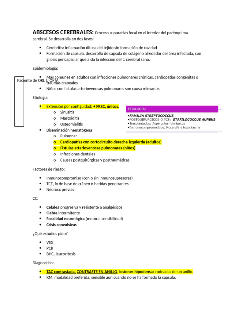 Abscesos y Tumores Cerebrales: Diagnóstico y Tratamiento | PDF | Cáncer ...