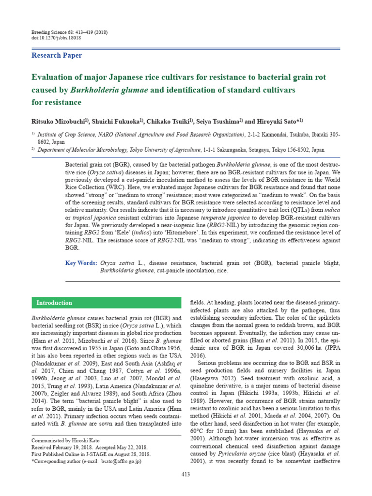 Evaluation of Major Japanese Rice Cultivars For Resistance To Bacterial ...