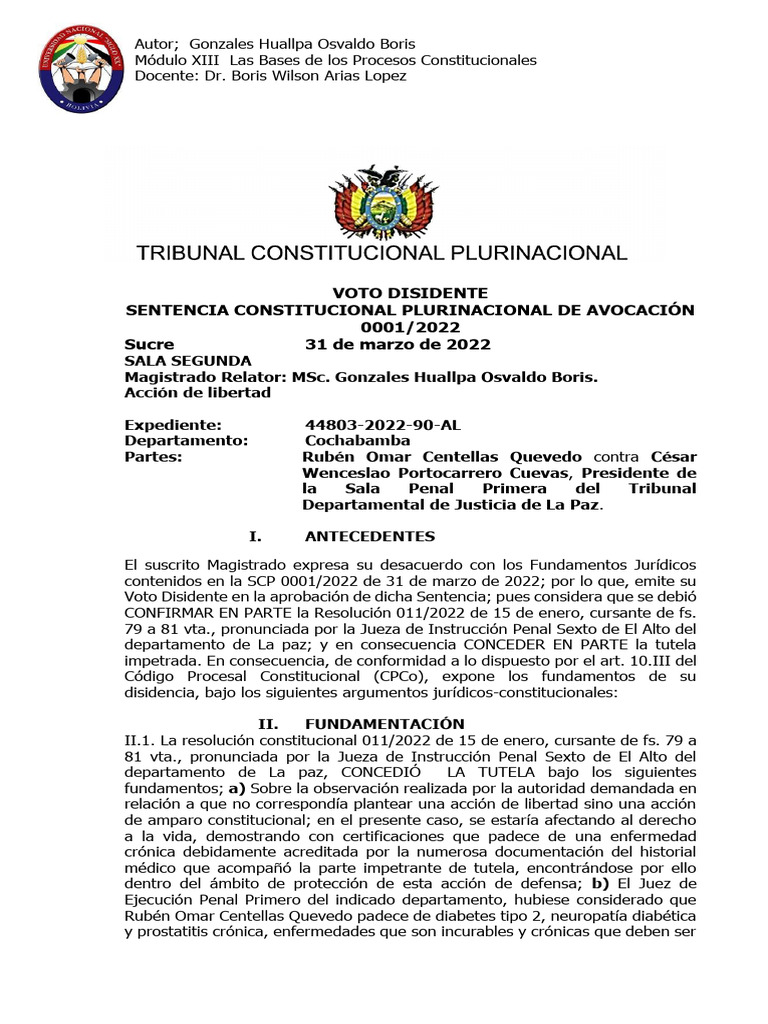 Voto Disidente en SCP 0001/2022 | PDF | Evidencia (ley) | Perdón