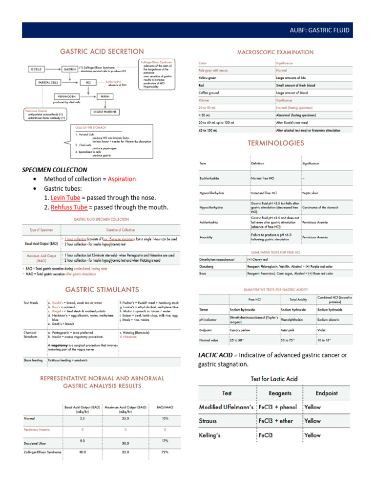 Rehfuss Tube in Gastric Fluid Collection | PDF