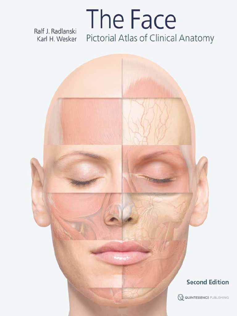 The Face Pictorial Atlas of Clinical Anatomy 2 Preview | PDF